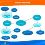 Tipos de Esquemas ️ Ejemplos y clasificación