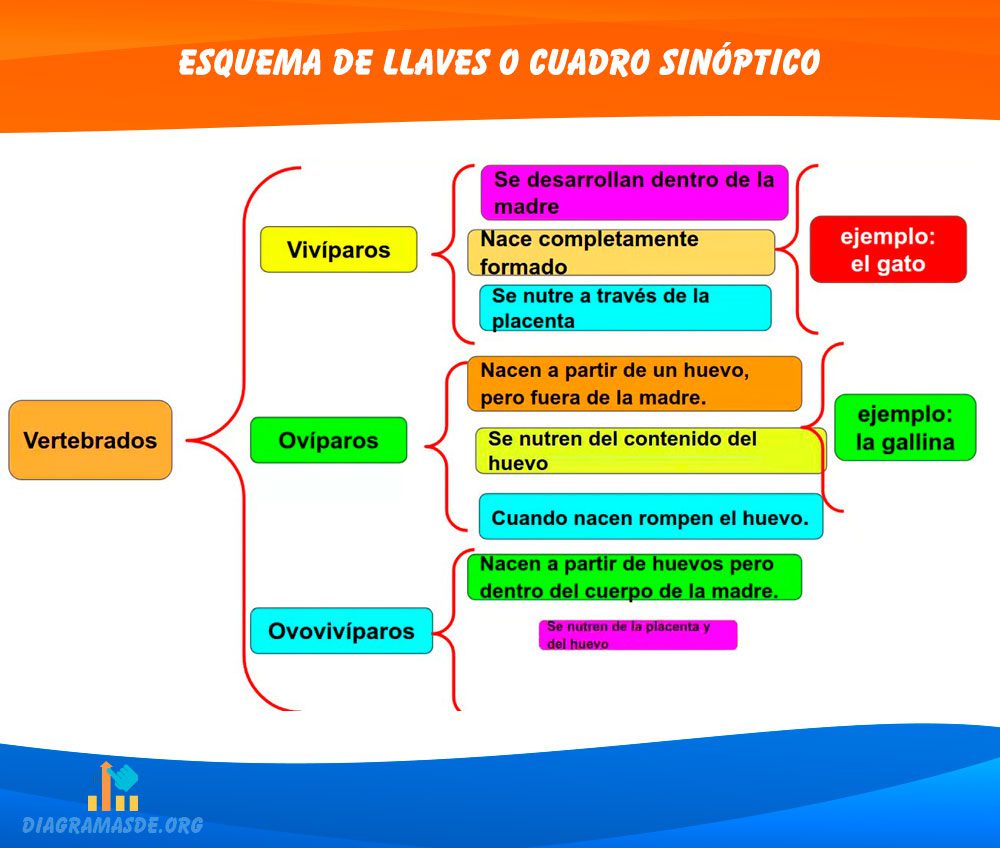 Tipos De Esquemas Ejemplos Y Clasificaci n Tipos De Esquemas Ejemplos Y Clasificaci n